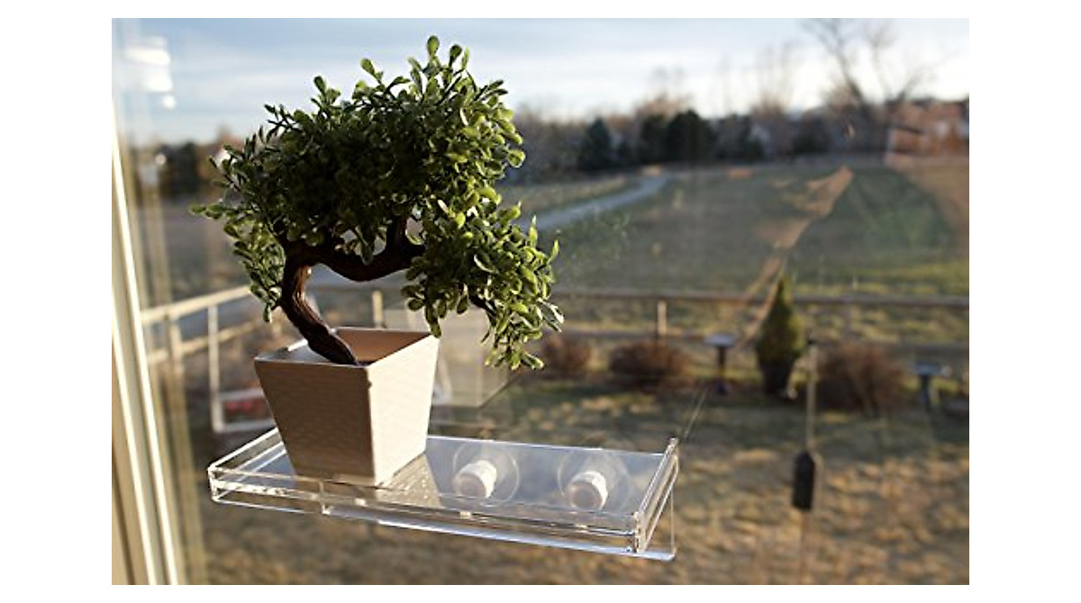 LaBrinx Medium Suction Cup Shelf for Plants & More