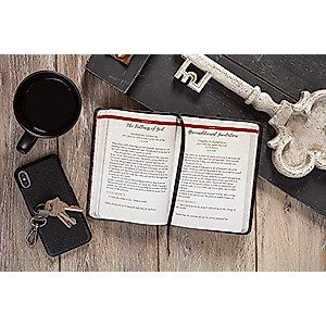 Jesus in Red: 365 Meditations on the Words of Jesus (Imitation Leather) – Daily Motivational Devotions for All Ages, Authored by Ray Comfort, Perfect ... Family, Birthdays, Holidays, and More.