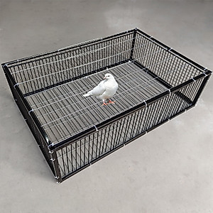 NEONMAN Pigeon Trap with Escape-Proof Design Pigeon Cage with One-Way Entry Encrypted Pigeon Automatic Pigeon Collection Chicken Cage and Bird Trap with Metal Welding Portable Easy Assembly(Black,28x1