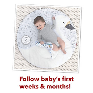 Skip Hop Baby Milestone Blanket, Little Swan