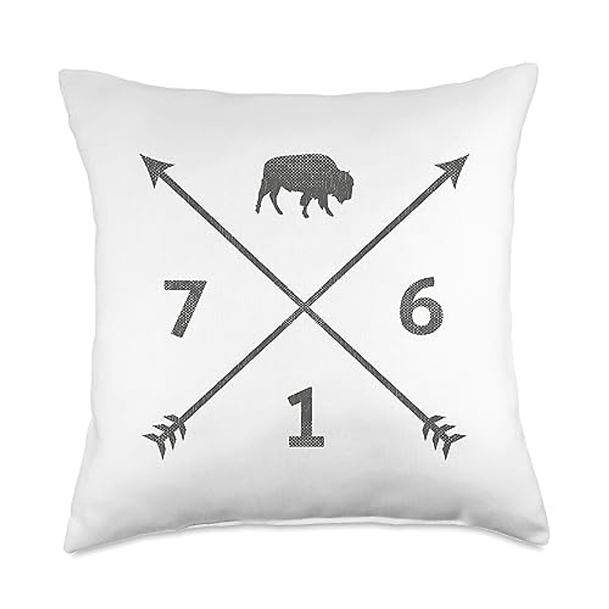 B-LO WNY Gift Ideas Buffalo NY Stuff Merch New York BFLO WNY Area Code 716 Buffalo Throw Pillow, 18x18, Multicolor