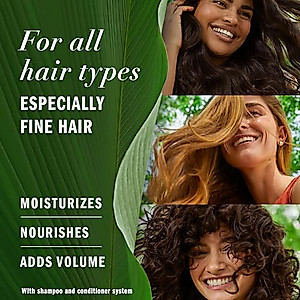Herbal Essences bio:renew White Grapefruit & Mosa Mint Naked Volume Shampoo, 13.5 fl oz