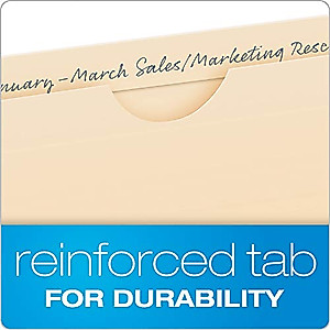 Pendaflex File Jackets, Flat, No Expansion, Manila, Letter Size, Straight Cut Tab, 100/Box (24990)