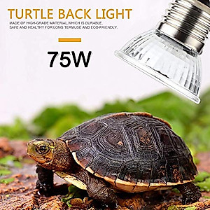 75W Sun Basking Lamp Full Spectrum Sunbathe Reptile Heat Lamp Growing Bulbs for Turtles Lizards 6 Pack