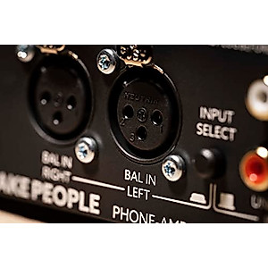 Lake People G105 MK II Compact Studio Headphone Amplifier for 2 Headphones