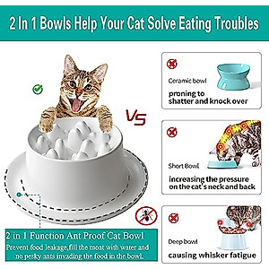 Raised Slow Feeder Cat Bowl, Fish Pool Design Elevated Slow Feeder Dog Bowls, Fun Interactive Bloat Stop Cat Slow Feeder Dry Food, Reduces Neck Burden Slow Down Eating Anti Vomiting Non-Slip No Spill