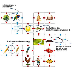 Chalk and Chuckles Board Game - Why Connect Educational and Family Game for Kids Age 6-12 Years, Speech Therapy Tool