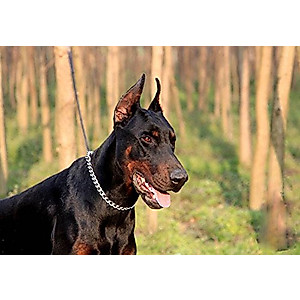 SGODA Chain Dog Training Choke Collar, 22 in, 3 mm