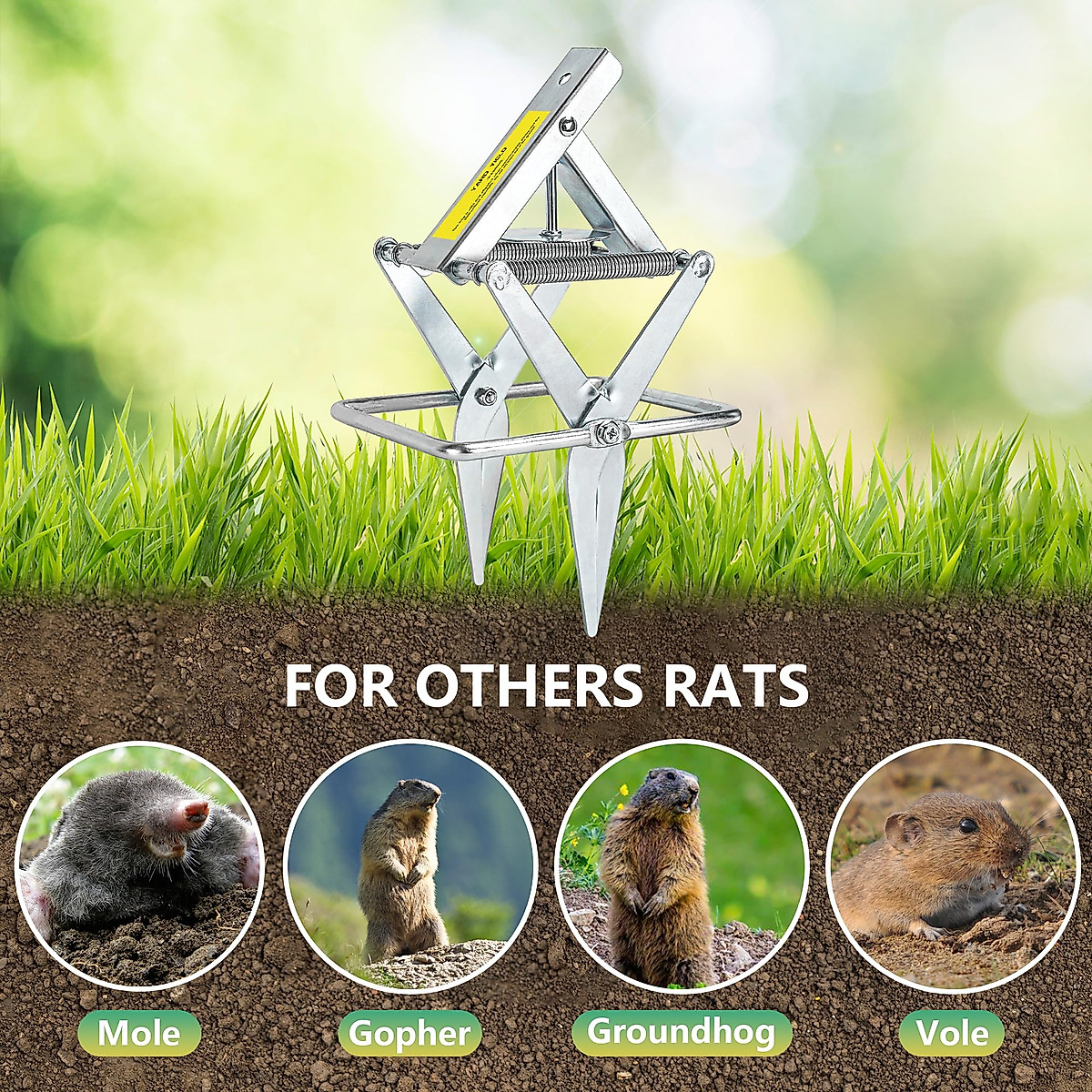 YardYield Mole Trap,Galvanized Steel Mole Scissor Trap,Reusable Mole Gopher Trap,Easy Set Quick Capture Gopher Trap for Lawns (Silver)