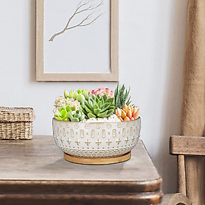 Fivepot 10+8 Inch Ceramic Succulent Planter Pots with Drainage Hole Clay Flower Pot for Indoor Plants Round Shallow Bonsai Pot with Bamboo Tray White