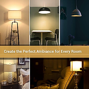 DEWENWILS 8-Pack Dimmable LED A19 Light Bulb, Soft White Light with Warm Glow, 800 Lumen, 2700K, 10W (60 Watt Equivalent), E26 Medium Screw Base, UL Listed