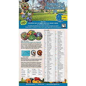 Beneficial Nematodes Heterohabditis bacteriophora HB -10 Million