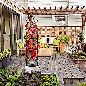 WellSign Obelisk Trellis for Climbing Plants Outdoor 6ft, Garden Tower Trellis for Potted Plants Indoor with Twist Tie, Clips and Butterflies Rustproof Coated Metal Support for Vines Rose 2Pack