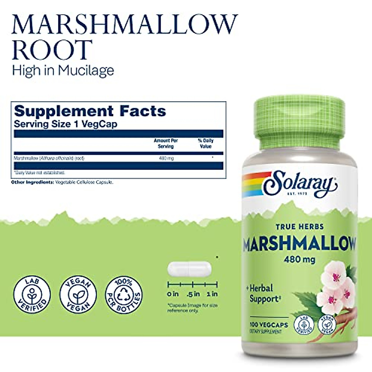 SOLARAY Marshmallow Root, Healthy Respiratory Function & Digestion Support, Non-GMO & Vegan | 100 VegCaps