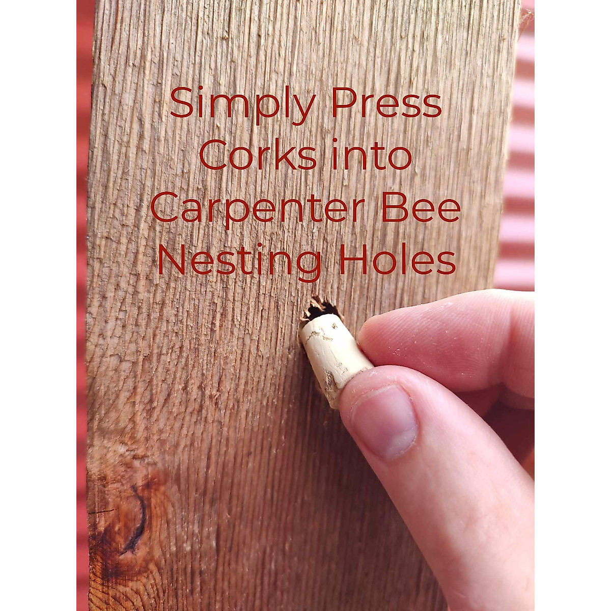 Donaldson Farms Carpenter Bee Corks - 100 Pack