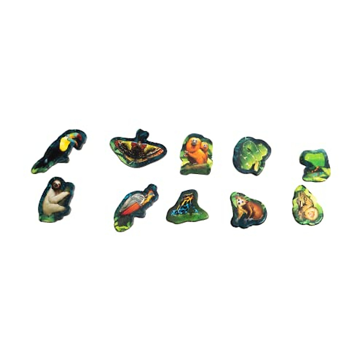 Weird City Games: Canopy, Card Game, Fast and Fun Gameplay, Features 25 Unique Species of Rainforest Animals and Plants, Solo or Multiplayer Option, For Ages 8 and up