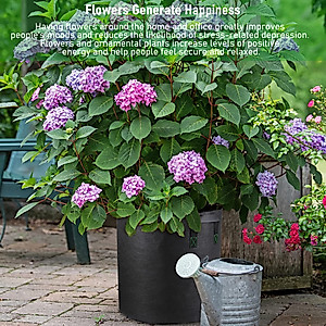 Growpropel 7 US Gallon 8 Pack Tall Grow Bags for Vegetables, Heavy Duty Nonwoven Aeration Fabric Deep Grow Pots with Handles