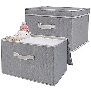 GRANNY SAYS Bundle of 2-Pack Closet Bins with Lids for Storage & 2-Pack Socks Storage Organizers