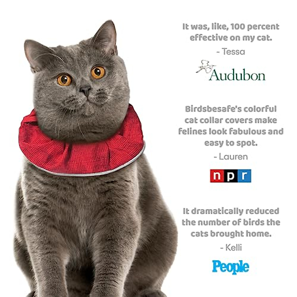 Birdsbesafe® Cat Collar for Birds - Bird Warning Cat Collar, Scientifically Proven to Help Prevent Your Cat from Catching Birds