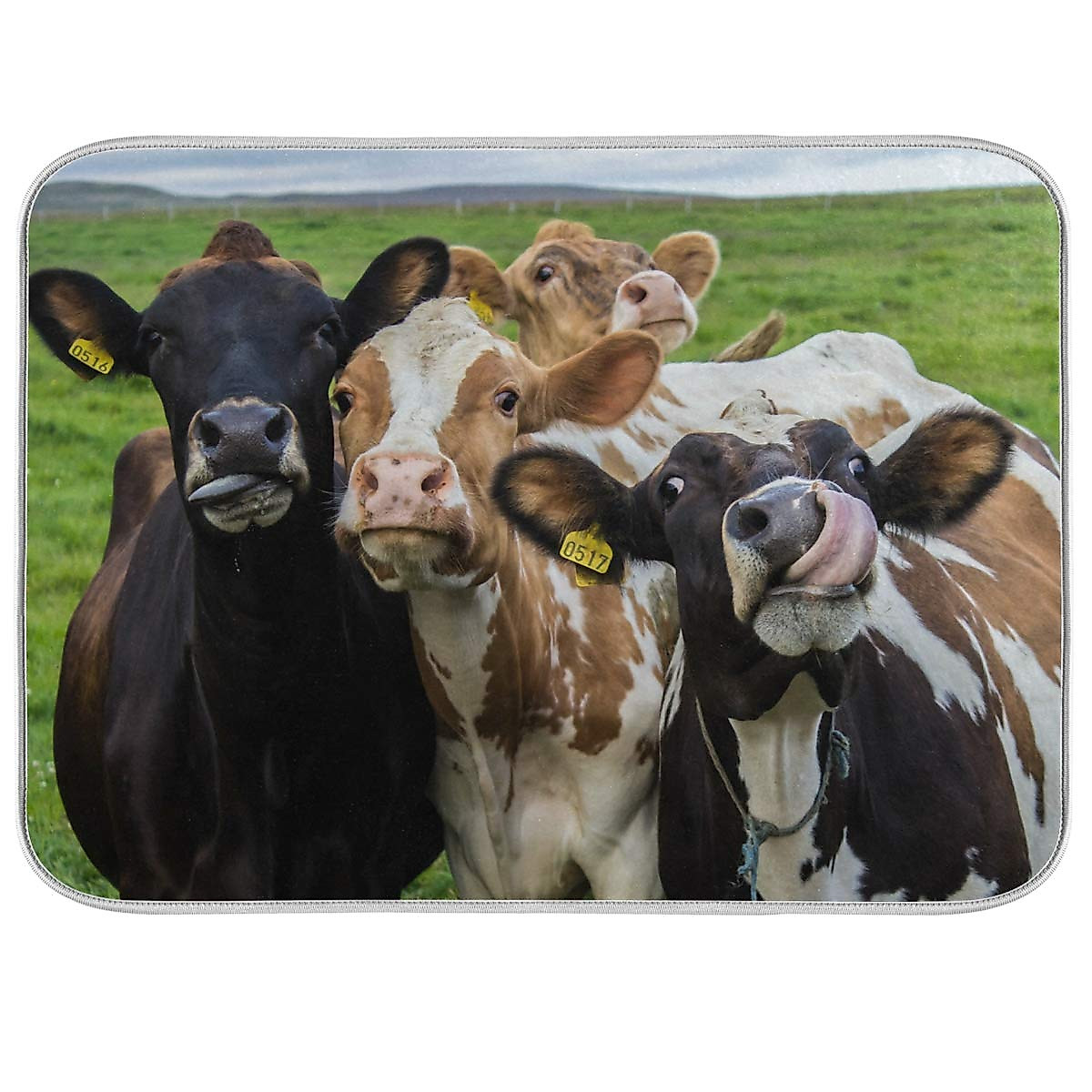 Kitchen Dish Drying Mat Farm Animal Cow Cattle Absorbent Washable Dish Drying Pad Drainer Rack Mat Heat Resistant Counter Protector for Glass Plate Cup Pan 18x24in