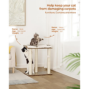 FourFurPets 22in Cat Tree Tower Condo, Cat Scratch Posts for Indoor Cats, Big Plate, Three 23.6in Full Sisal Scratching Posts, Greige