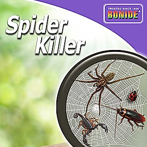 Bonide Spider Killer, 128 oz Ready-to-Use Spray for Indoors & Outdoors, Long Lasting Formula Kills on Contact