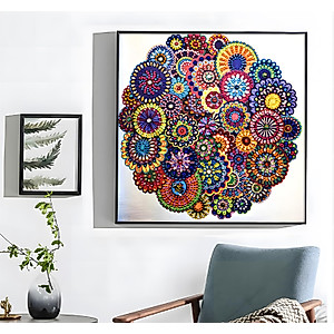 Hibah Diamond Painting DIY 5D Special Shape Rhinestone, Mandala Flower, Partial Diamond Crystal Diamond Painting Set