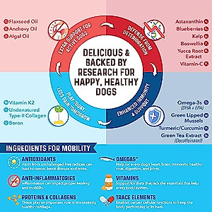 Bernie's Marvelous Mobility - Daily Dog Hip and Joint Supplement - Maintains Overall Well Being & Promotes a Healthy Immune System (90 Count)