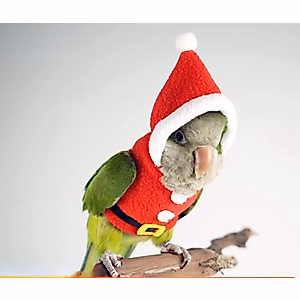 Bird Clothes Birds Flight Suit, Christmas Hoodie for Parrots Cockatiel Sun Conure Christmas Party Cosplay Photo Prop Bird Shirt Small Animals Apparel (Without Diaper,Green Quaker)