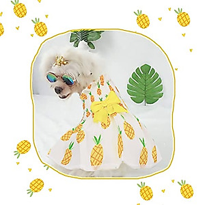 Albrost 4 PCs Dog Bow-Knot Floral Dress, Pet Princess Dresses for Small Girl Dog, Braces Suspender Skirt, Puppy Summer Sundress Doggy Outfit Dogs Cats Rabbits (Small)