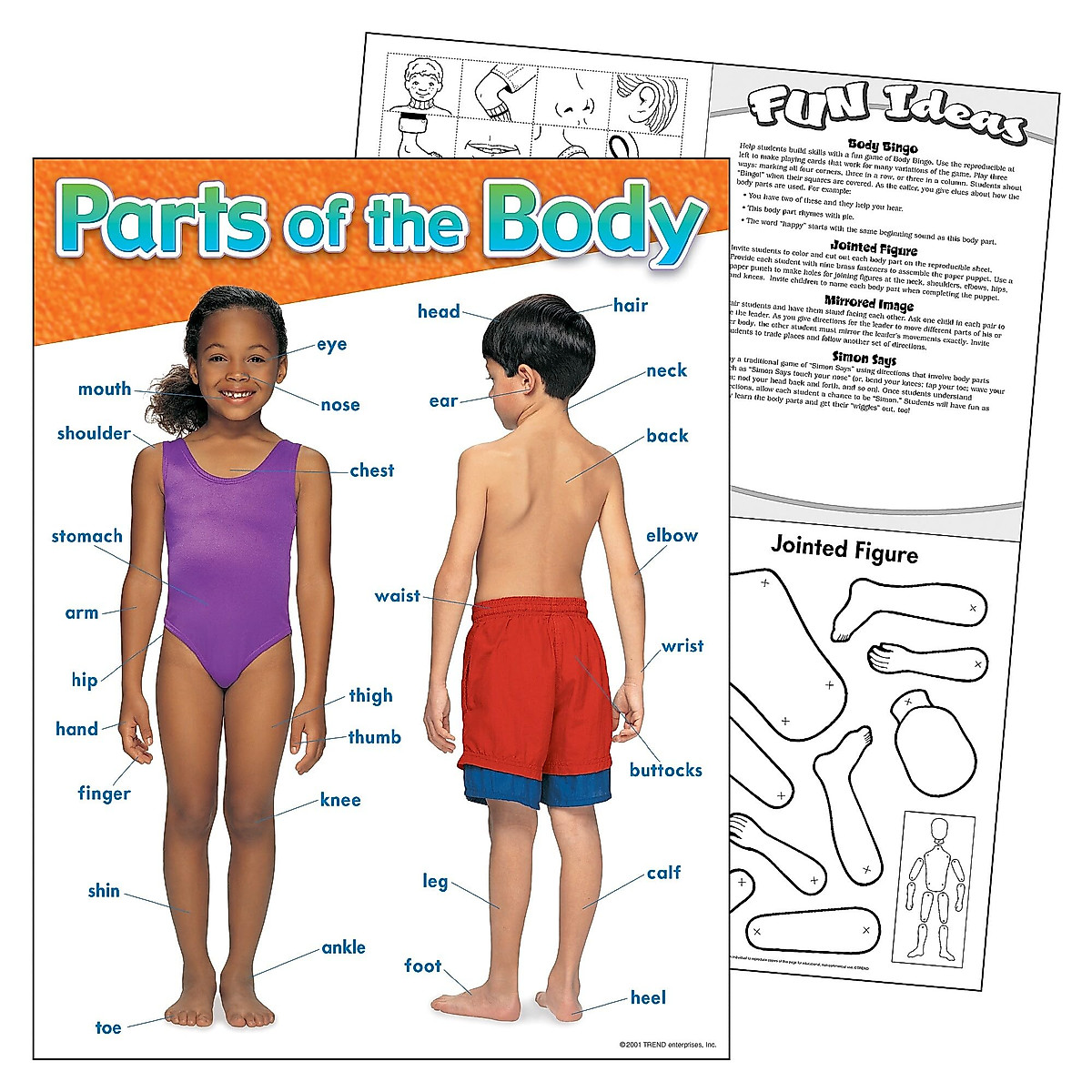 TREND enterprises, Inc. Parts of The Body Learning Chart, 17" x 22"