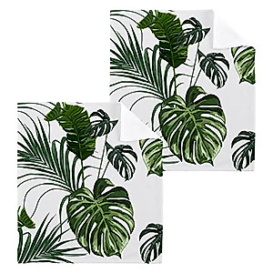 ALAZA Palm Leaves Jungle Monstera Tropical Towels Cotton Washcloths Set,Soft Absorbent Quick Dry Face Cloths,Multi-Purpose Fingertip Towels for Bathroom,Hotel,Travel,12'' x 12'' (2 Pack)