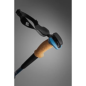 Black Diamond Alpine Carbon Cork Whippet-Ready Trek Poles, Astral Blue