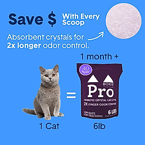 Boxie® Pro™ 40 Day Probiotic Odor Control Non-Clumping Crystal Cat Litter, 6 lb, Self-Cleaning, MicroDry™ Crystals, 99.9% Dust-Free, Long-Lasting, Health Benefits for Multi-Cat Homes