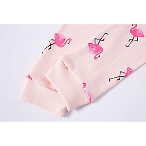 Popshion Little Girls Pajamas Sets Toddler Long Sleeve Leggings Outfits 2 Piece for Kids(Flamingos-6217 6T)