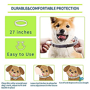 Advanllent Flea Collar for Dogs, 8 Month Flea and Tick Prevention for Dogs, 27 Inch Adjustable