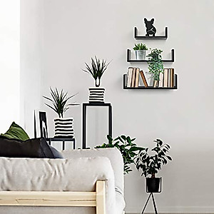 Americanflat Black Floating Shelves - Set of 3 - U Shaped Wall Mounted Display Ledges for Bedroom, Living Room, Bathroom, Kitchen, and Office