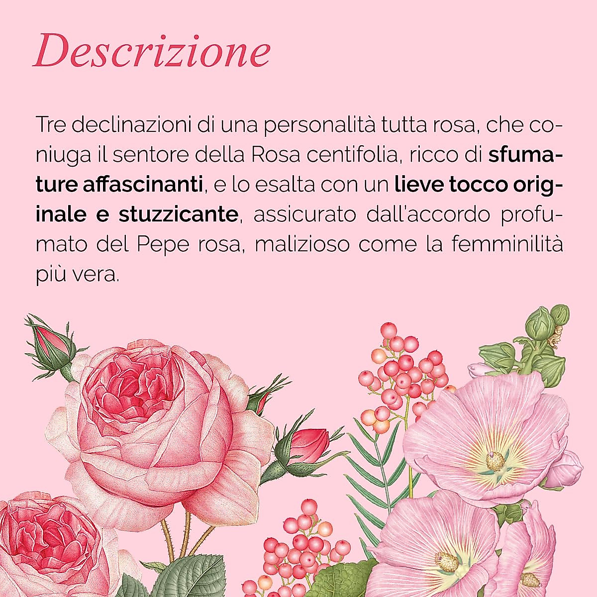 L'Erbolario 3 Rosa - Romantic And Feminine Fragrance For Every Woman - Three Admirable Fragrant Notes Of Provence Rose, Peruvian Pepper And Hollyhock - Offers A Seductive Accent - 1.6 Oz EDP Spray