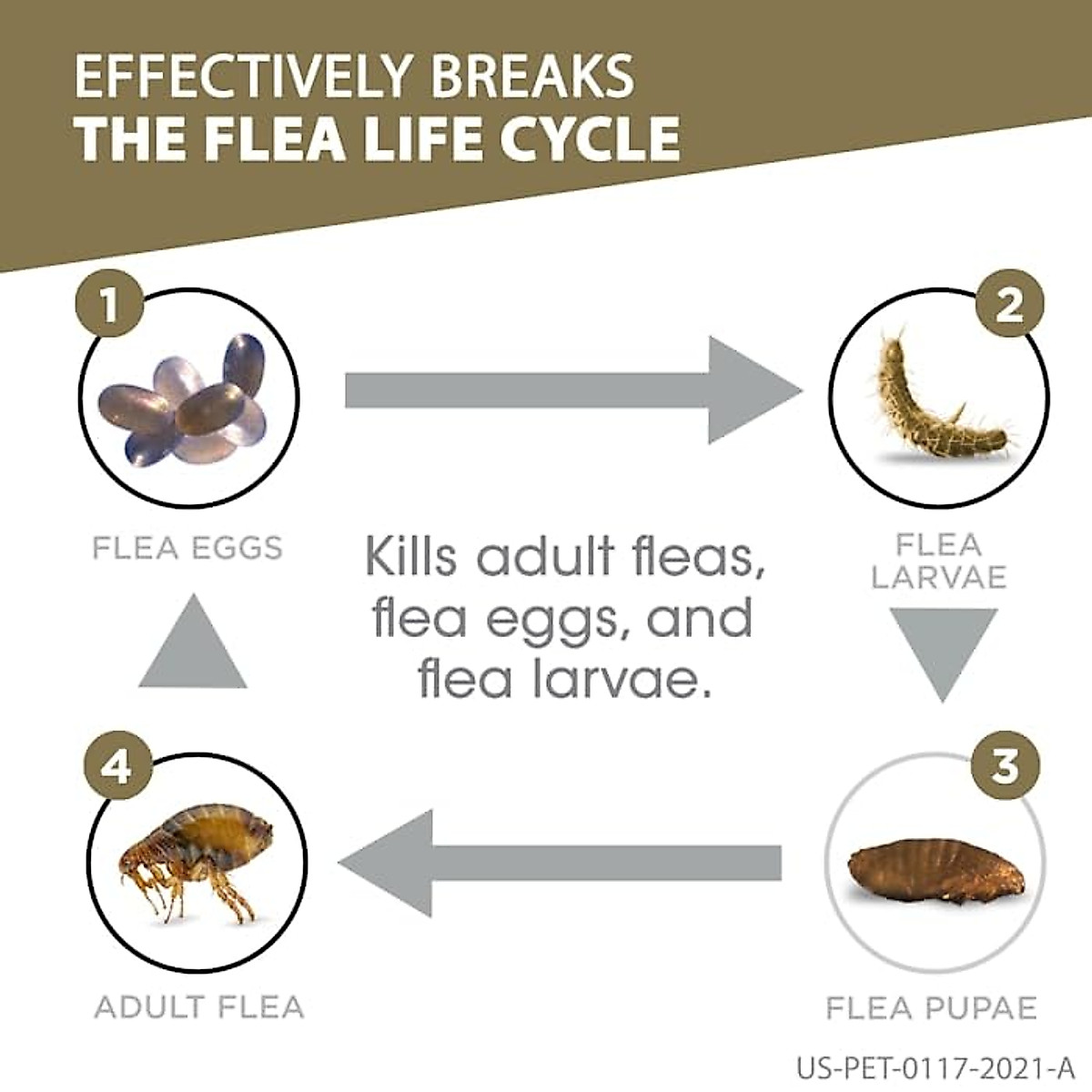 FRONTLINE Gold Flea & Tick Treatment for Cats Pack of 6