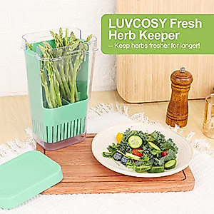 LUVCOSY 2 Packs Fresh Herb Keeper for Refrigerator, Clear BPA-Free Herb Saver, Storage Container for Cilantro, Parsley, Thyme, Mint & Asparagus, Preserver Keeps Fresh Herbs Cyan