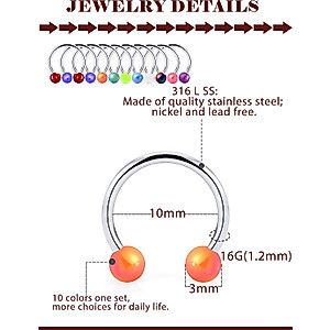 Prjndjw 16G Surgical Steel Nose Septum Rings Piercing Jewelry Horseshoe Septum Jewelry Cartilage Helix Tragus Earring Hoop Eyebrow Lip Hoop Retainer for Women Men Body Piercing Rings 10mm CZ glow