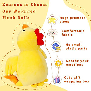 IdeaMeme Weighted Chick Plush, 24" 4.2 lbs Weighted Stuffed Animals, Cute Plushie Dolls Throw Pillow Birthday for Children Kids Adults