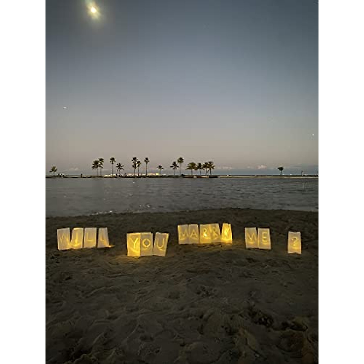 Luminary paper bags wedding proposal decorations “will you marry me?” light up letters sign with led lights included for engagement party, proposals