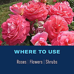 BioAdvanced 2-in-1 Systemic Rose and Flower Care II, Granules, 5 lb with BioAdvanced Rose and Flower Insect Killer, Ready-to-Use, 24 oz