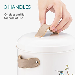 Navaris Bird Seed Box - 16cm x 25cm - 4.9 L (1.3 Gal) - Decorative Pots for Seeds and Other Small Dry Pet Food - Small Garden Storage Tin