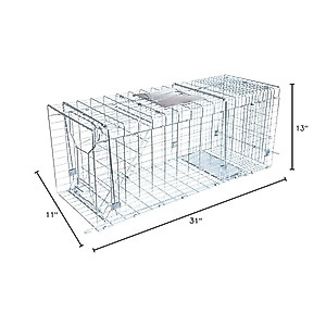 JT Eaton 485N Answer Single Door Live Animal Cage Trap for Medium to Large Size Pests, 31" x 11" x 13", Heavy Duty Steel