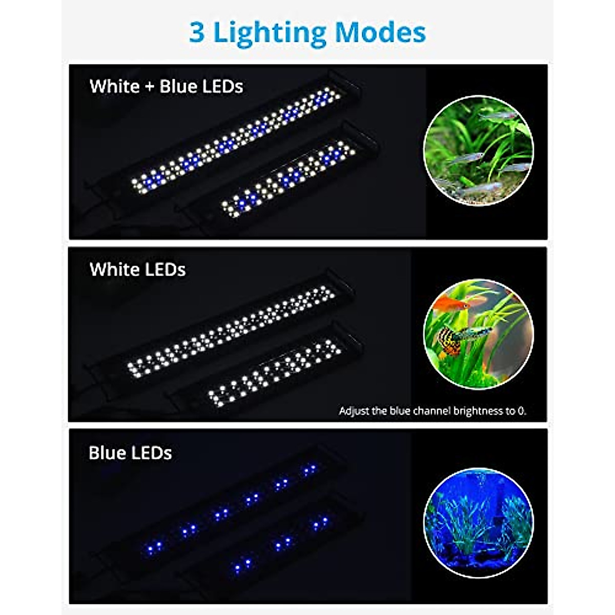NICREW AquaLux White and Blue LED Aquarium Light, Intensity Adjustable Freshwater Fish Tank Light with 8/10/12 Hours Timer, Sunrise and Sunset Function, 12-18 Inch, 6 Watts