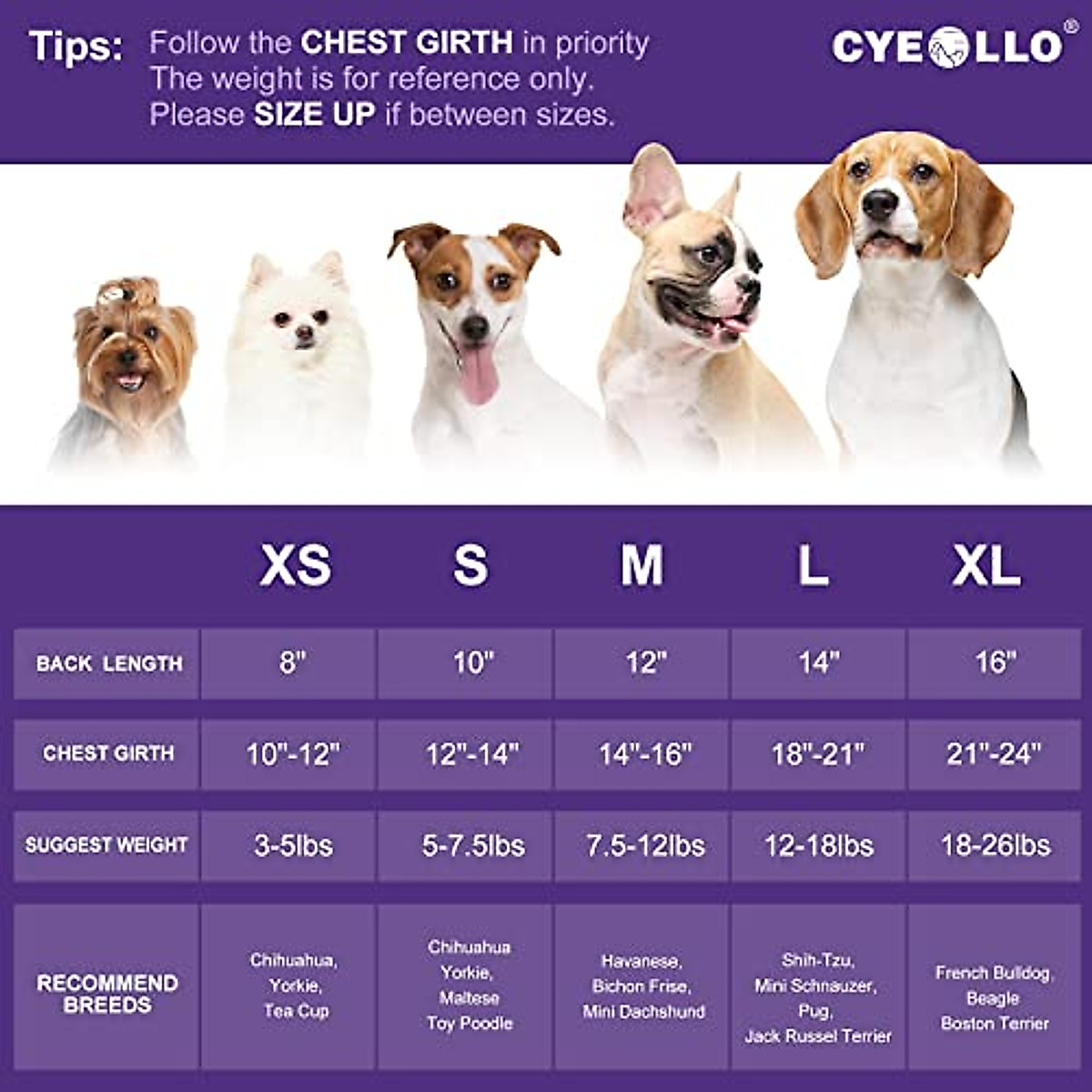 cyeollo 2 Pack Tie Dye Dog Dress Stretchy Dresses Breathable Pet Soft Dog Clothes for Small Dogs Girl