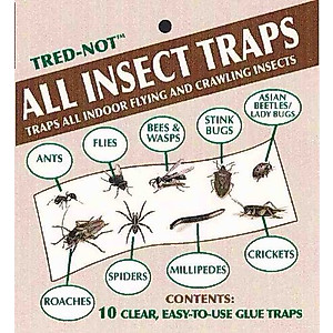 70 pk All Insect/Fly Traps/Sticky Strips/Glue Boards. Trap Flies, Bees, Wasps, Asian Beetles, etc.