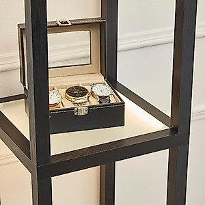 FENLO Fantasy Pro - 66" Glass Dimmable LED Floor Lamp with Shelves for Bedroom, Tempered Glass Display Shelf Lamp for Living Room, Open Display Stand for Business, Long Lasting LED, Unique Home Decor